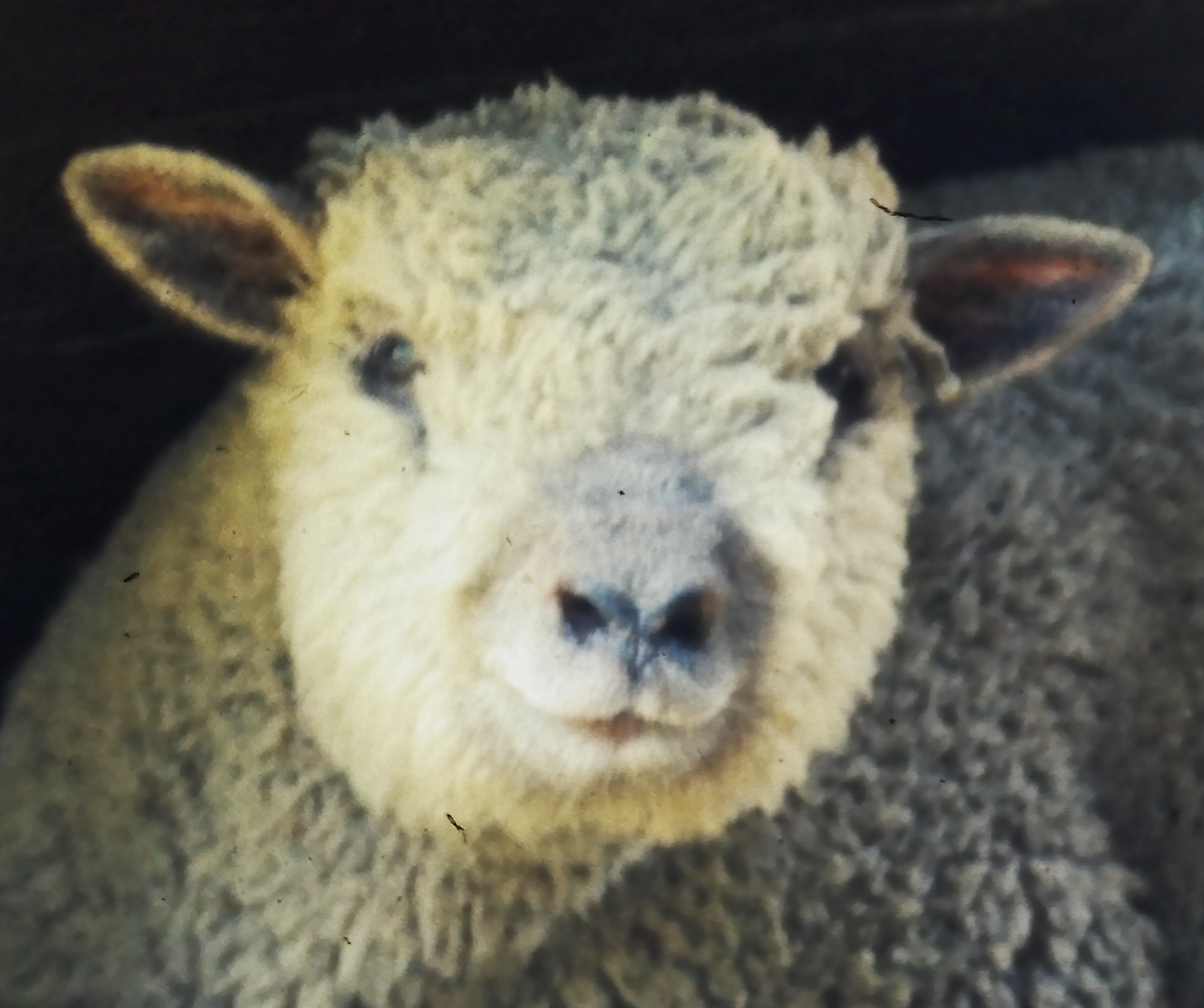 4/24/24 REVELATION 1:2, PART 6 – Go deeply into Revelation
